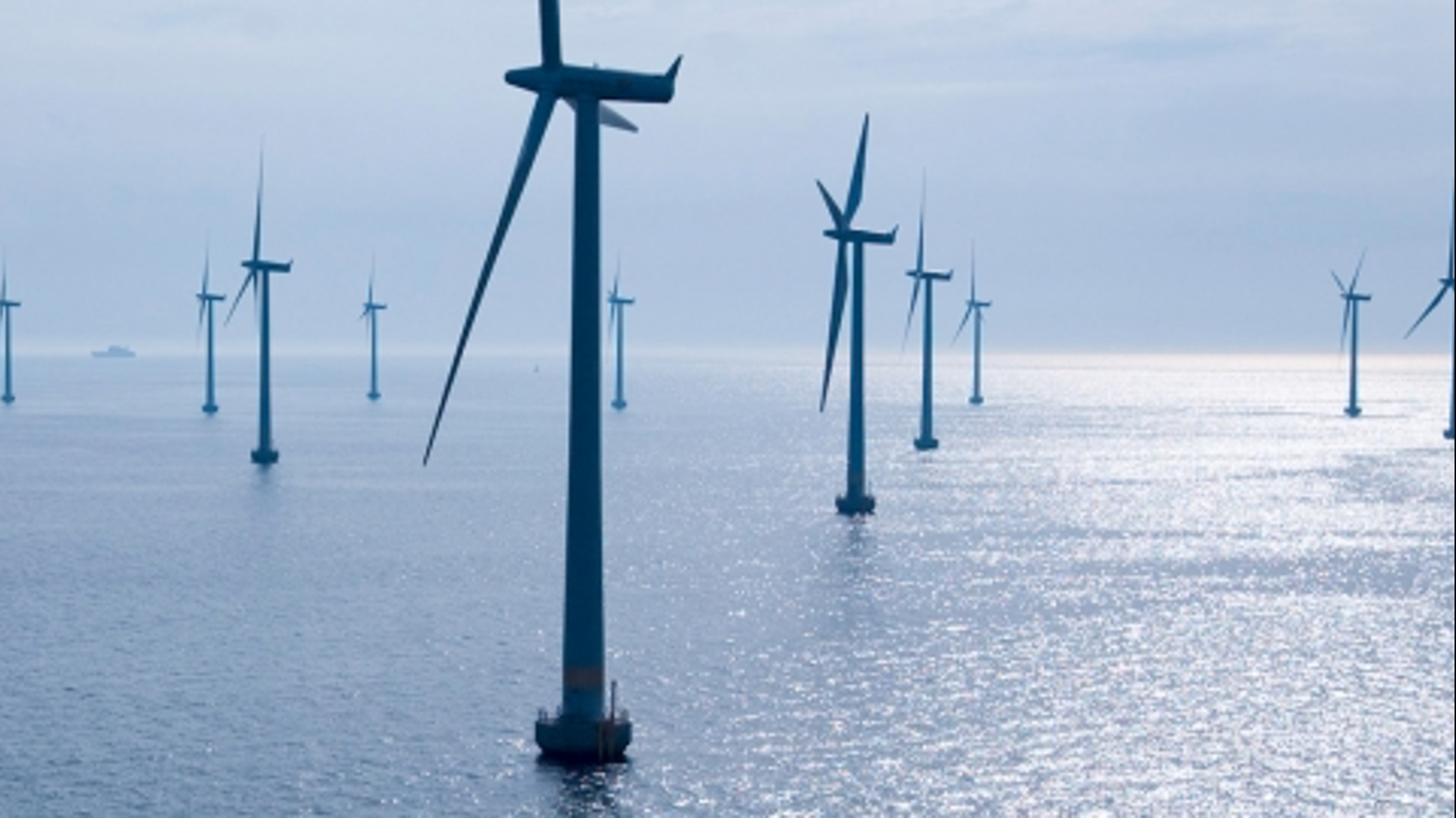 The Green Giraffe Energy Blog - Green Giraffe Advisory